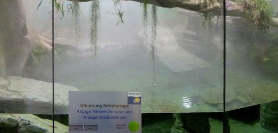 Direkt über einem Krokodil montiert es sich eher angespannt - INSEVIS ...